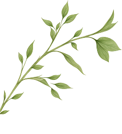 Invoice 011 payment 3 - ThaiFlora