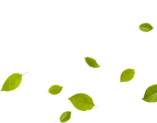 Invoice 011 payment 3 - ThaiFlora